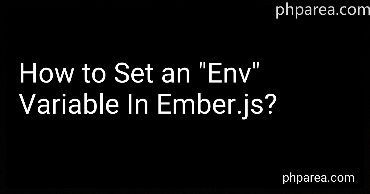 How To Set An Env Variable In Emberjs In 2024 